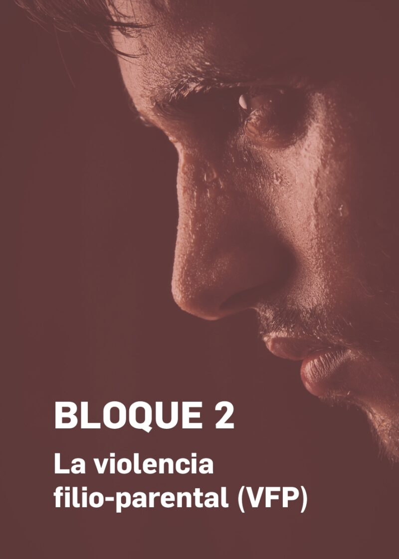 Guía para la Prevención de la Violencia Filio-Parental 2023 - ACCIÓN ...